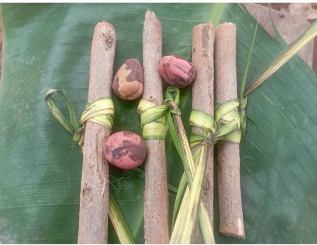 Igbo symbolism: Ịtụ nzu, ịji akwụkwọ ube machie nkwụelu na ihe nrịbama ...