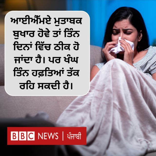 H3N2 : ਦੇਸ਼ ਭਰ 'ਚ ਫੈਲ ਰਿਹਾ ਇਹ ਵਾਇਰਸ ਕਿੰਨਾ ਖ਼ਤਰਨਾਕ ਤੇ ਕੀ ਕਹਿੰਦੇ ਹਨ ਡਾਕਟਰ - BBC News ਪੰਜਾਬੀ