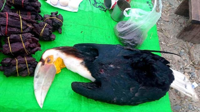 မတ် ၂၇ရက် ဘီဘီစီရဲ့ နောက်ဆုံးရသတင်းများ - NUGနဲ့ PDF ရဲ့တိုက်ခိုက်မှုတ ...