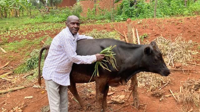 Rwanda-Jenoside: Imbaraga mu gufasha abacitse ku icumu bafite ...