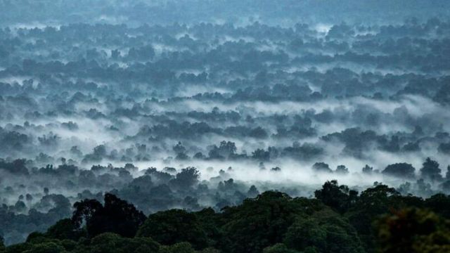 UNESCOtti kan galmaa’an Paarkiin Biyyaaleessaa Baaleefi dhakaan dhaabii ...