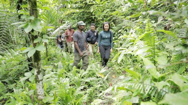 Papua: Tujuh suku pelindung gunung dan laut di Pegunungan Cycloop - BBC ...