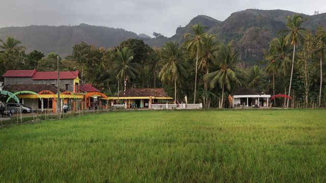 Rencana tambang emas terbesar di Jawa berpotensi perparah bencana ekologi - 'Kalau tambang emas ...