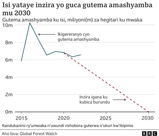 Uburyo isi yataye intego ya 2030 yo guca burundu kwangiza amashyamba - BBC News Gahuza