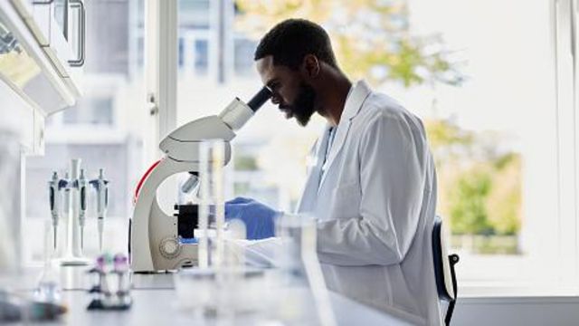 Science : Cinq percées à attendre en 2023 - BBC News Afrique