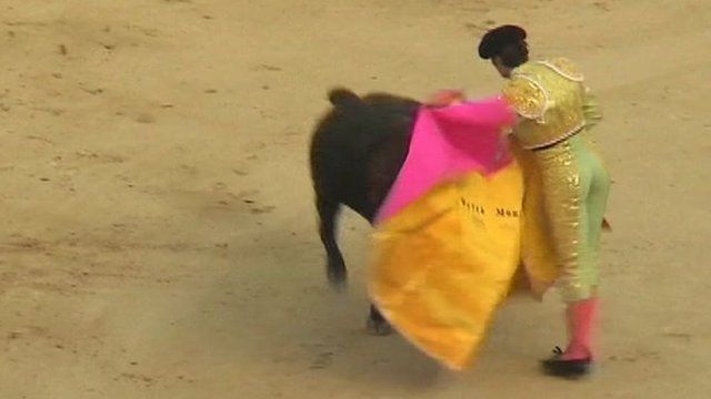 Spanish battle over Toro de la Vega bullfighting tradition - BBC News