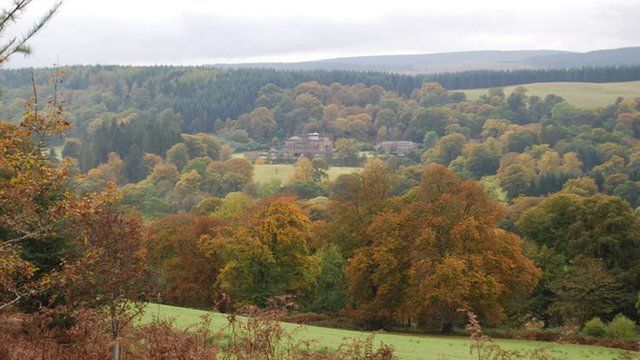 In pictures: Eden Festival on the Raehills Estate - BBC News