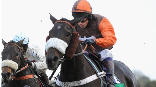 Grand National 2014: Katenko & Godsmejudge to miss Aintree race - BBC Sport