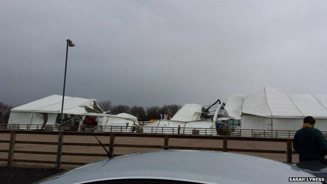 Man dies after tree falls on van during NI storms - BBC News