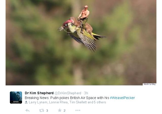 Woodpecker weasel picture party: Enjoy the #WeaselPecker memes - BBC News