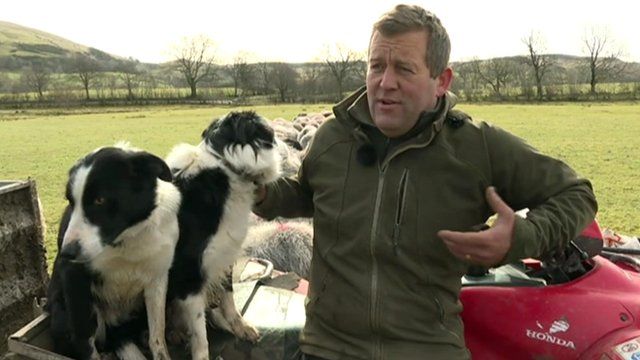 Lake District farmer's wife Helen Rebanks on life in the fields and ...