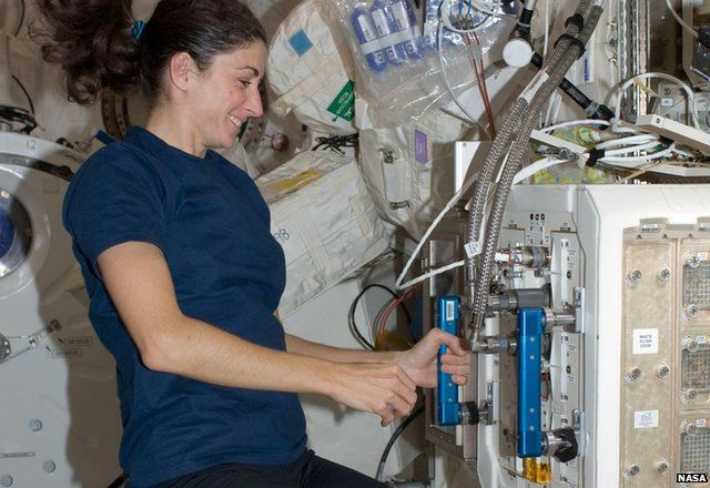 Mice in space develop thin skin - BBC News