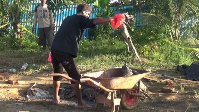 Tambang emas ilegal di pedalaman Papua: Mendulang dari derita Suku Korowai - BBC News Indonesia