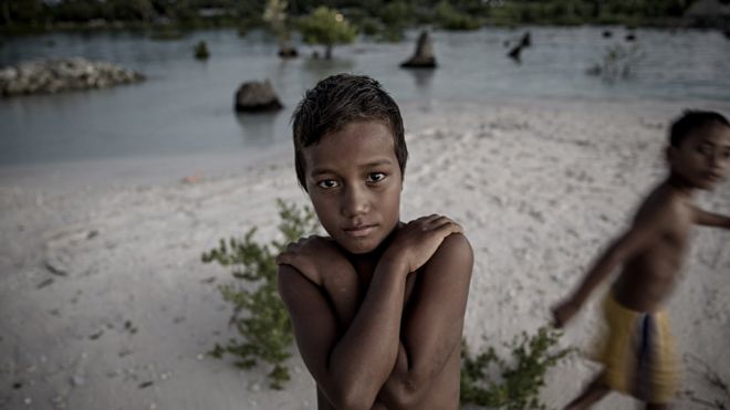 Cambio climático: qué es el carbono azul y por qué es tan importante para la lucha contra el ...