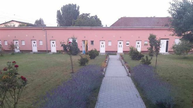 Ukraine bàn với đồng minh Ba Lan, Slovakia, Romania, Bulgaria về giấy ...