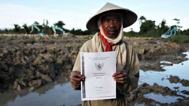 Perusahaan sawit di Papua buka lahan 70 hektar meski izin dicabut, 'potensi pidana' perusahaan ...