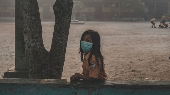 Kebakaran hutan: Sejumlah perusahaan di balik karhutla 2015-2018 lolos dari sanksi serius - BBC ...