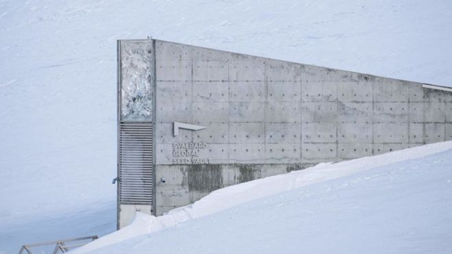 جاده ۷ هزار ساله ساخته شده توسط انسان‌های اولیه در ته دریا کشف شد - BBC ...