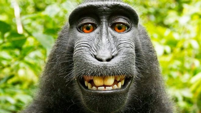 Petani pengukur curah hujan: Menjadi peneliti mandiri untuk menghadapi perubahan iklim - BBC ...