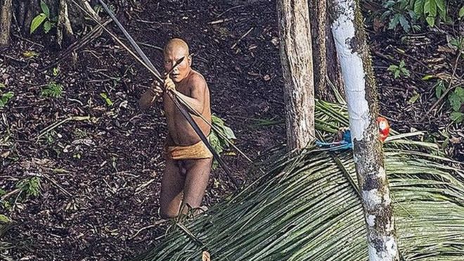 Deforestasi di Amazon semakin parah, suku Piripkura tersisa tiga orang - 'Banyak orang asing ...