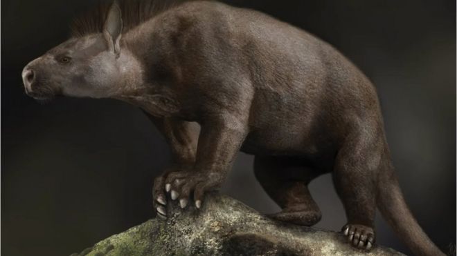 Menghidupkan kembali hewan-hewan yang punah, dari harimau Tasmania ...