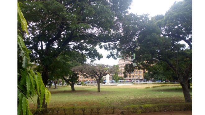 Bustani yenye mimea zaidi ya 100 ya sumu - BBC News Swahili