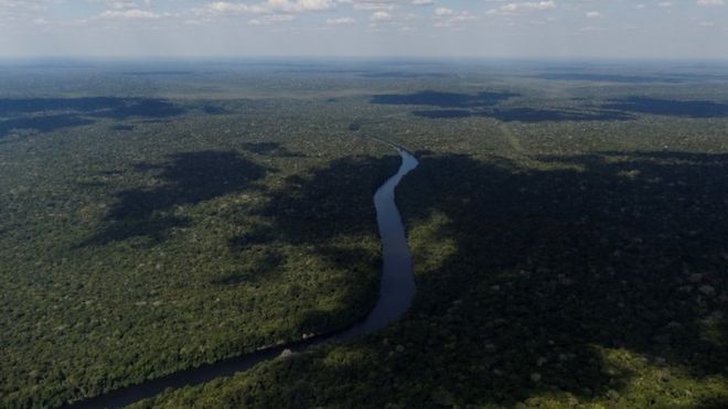 Chifu wa miaka 90 aliyepambana kuulinda msitu wa Amazon kwa zaidi ya ...