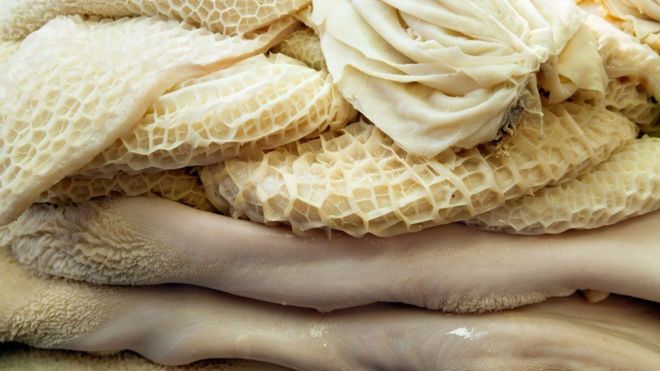 Shan faa'ido oo laga helo cunista kalluunka dufanta leh - BBC News Somali