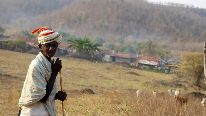 Jumli Marshi rice : 50 లక్షల కుటుంబాలకు ఆధారమైన ఈ బియ్యం రకం ...