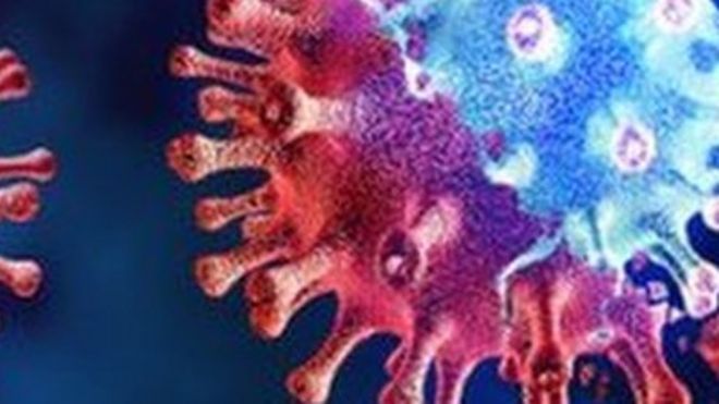 Covid : l'origine du virus est probablement due à un incident de laboratoire en Chine selon le ...