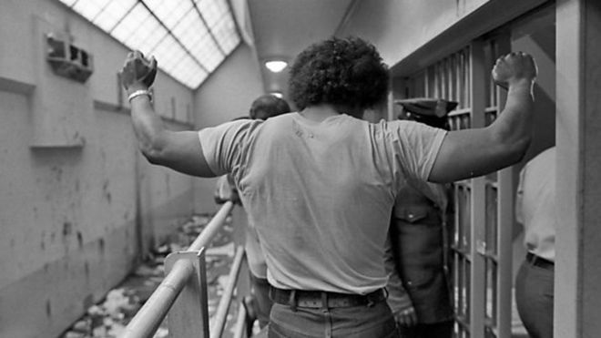 شاهد عینی (۲۴۵): ماجرای یک کلاه‌برداری بزرگ در شراب‌سازی - BBC News فارسی