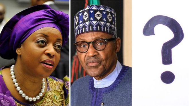 Tinubu ministerial nominees: Meet Dr Jamila Bio Ibrahim and Ayodele ...