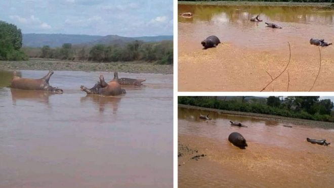 'Gafarsa namni dur ajjeesee beekkamtii itti argatuun, animmoo madqseen ...