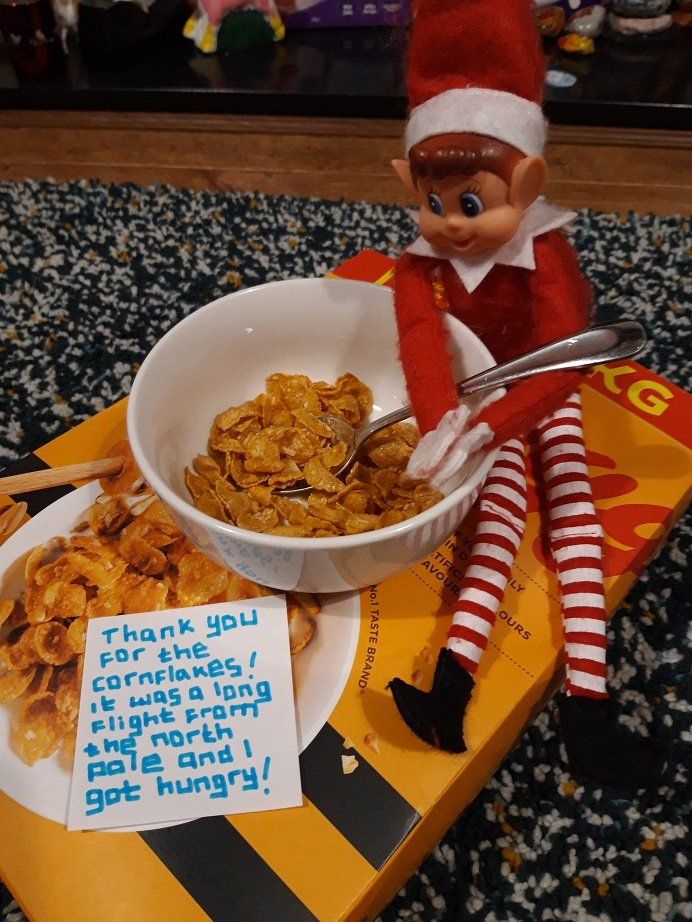 Christmas elf photos: You sent us pics of YOUR naughty Christmas elves ...