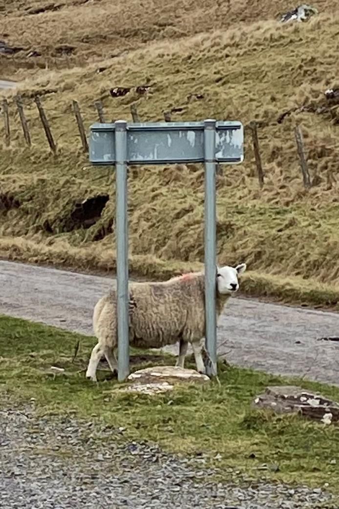 Your pictures of Scotland: Photographs from around the country - BBC News