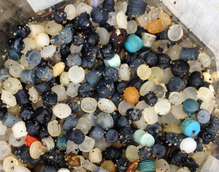 Who are the nurdle hunters on Britain's beaches? - BBC News