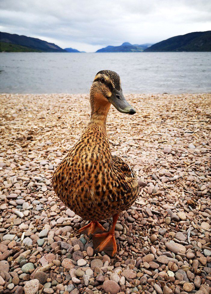 Your pictures of Scotland: 17 - 24 September - BBC News