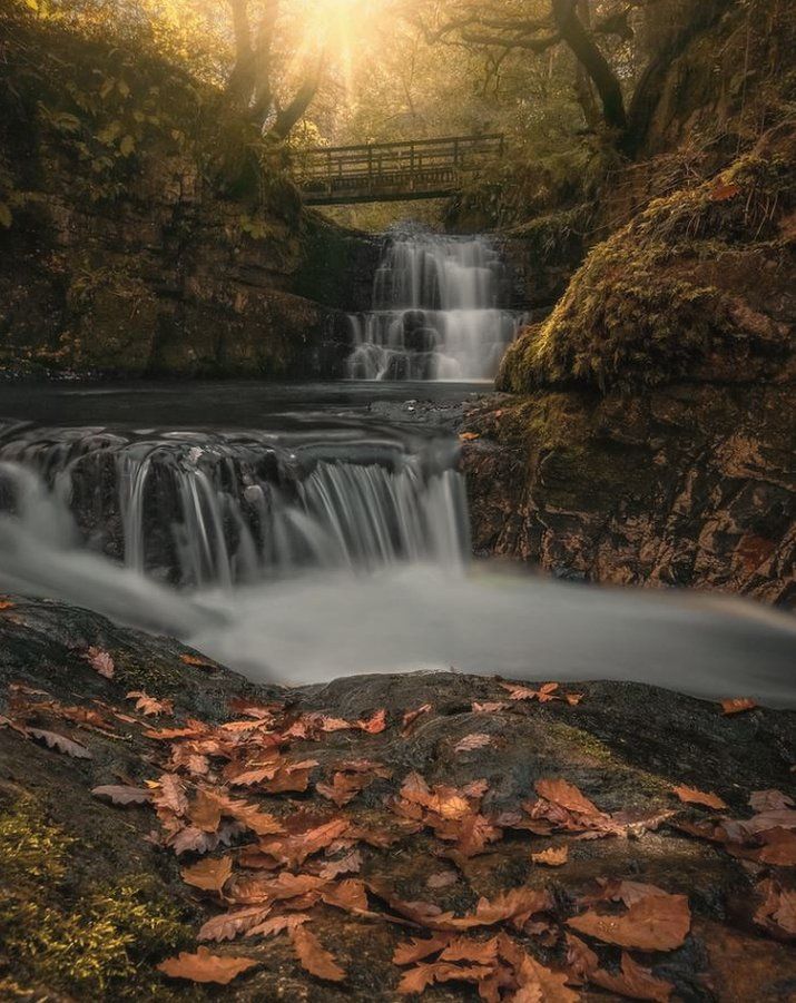 Oriel luniau: Cymru yn yr hydref - BBC Cymru Fyw