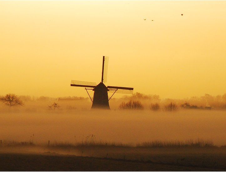 Your pictures: Morning light - BBC News