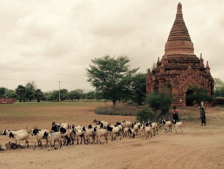 Your pictures: Myanmar direct - BBC News