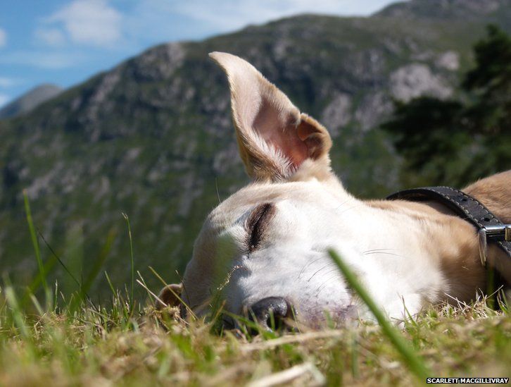 Your pictures: Worn out - BBC News