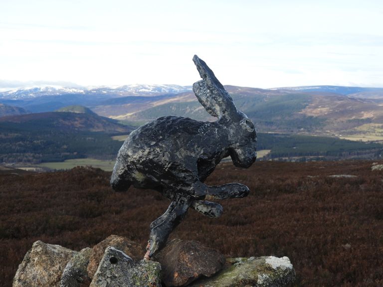 Your pictures of Scotland: 17-24 February - BBC News