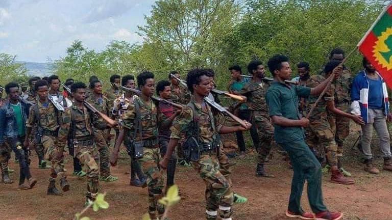 WBO waamicha mootummaan araaraaf dhiyeesse 'gammaachuun garuu ...