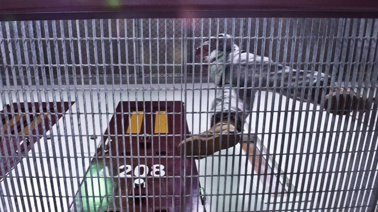 President George W Bush 'knew everything' about CIA interrogation - BBC ...