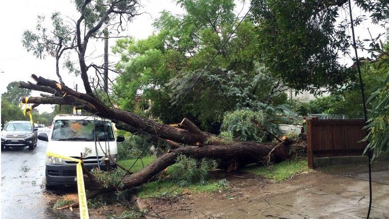 Australia storms: Eyewitness accounts from NSW - BBC News