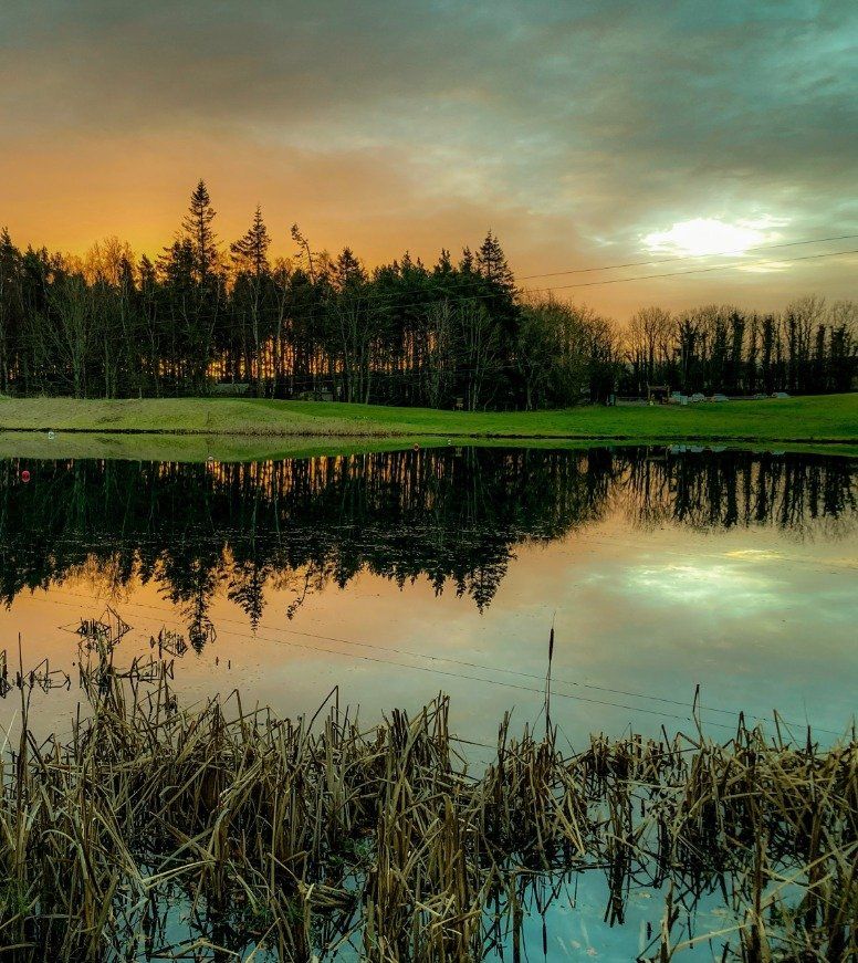 Your pictures of Scotland: 28 January - 4 February - BBC News