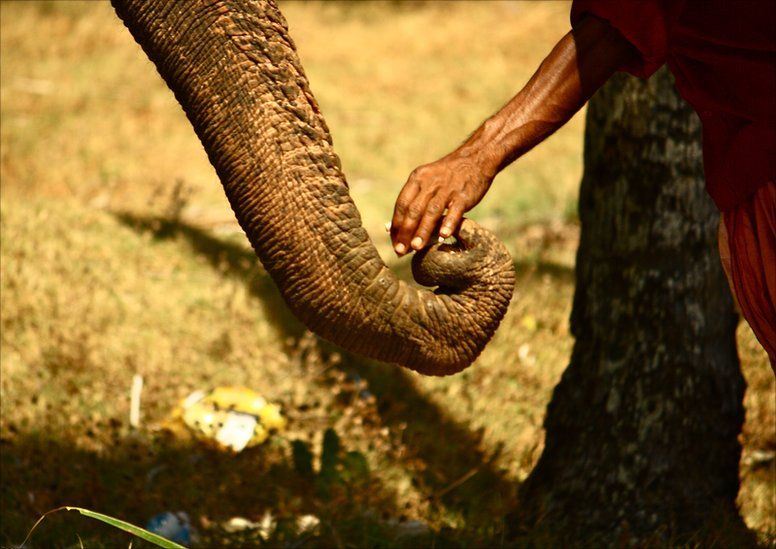 Your pictures: Hands - BBC News