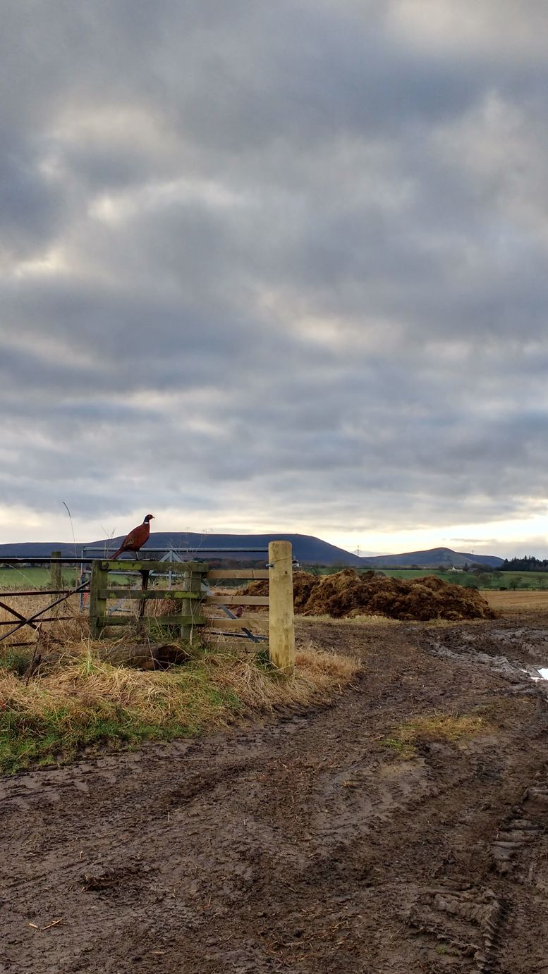 Your pictures of Scotland - BBC News