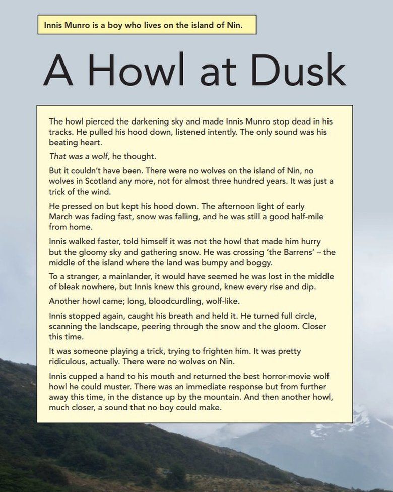 Sats: Can you answer the questions from this year's English test? - BBC ...