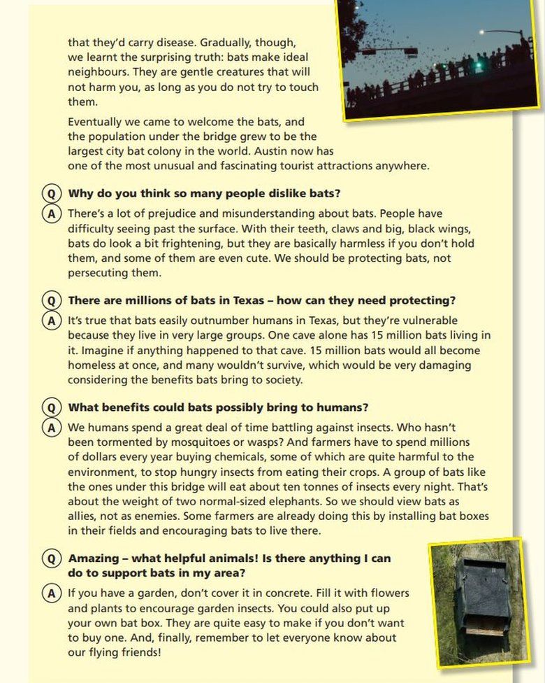 Sats: Can you answer the questions from this year's English test? - BBC ...